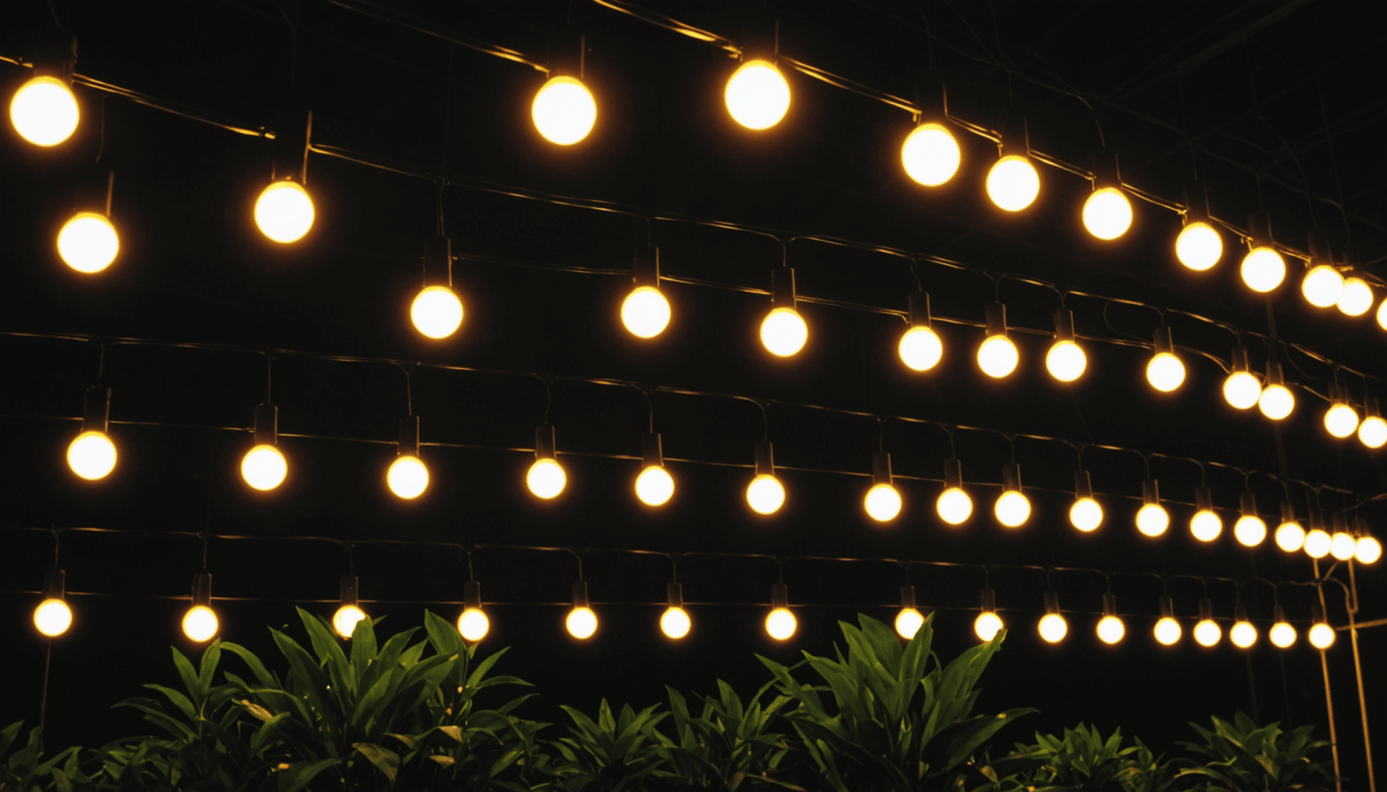 Comment et pourquoi éliminer le ballast pour les lampes LED ? – Le ...